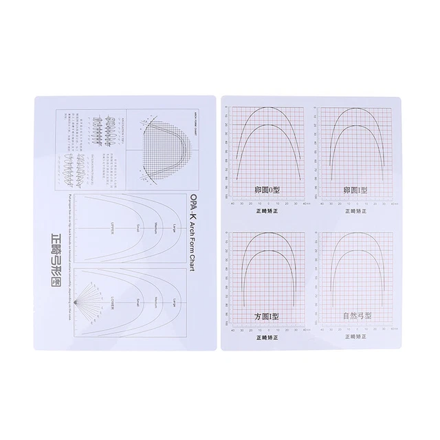 DENTAL ORTHODONTIC ARCH Diagram Guide Plate Teeth Maxillary Model ...