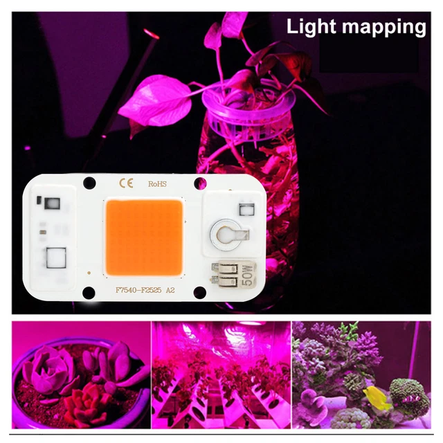 FULL SPECTRUM 220V High Voltage DriveFree Light Source 50W LED Chip LED ...