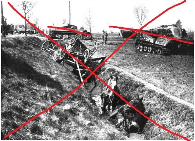 FOTO/PHOTO 794,PANZER,TANK, WW2, k.o. Tiger I + II der s.Pz.Abt. 501 ...