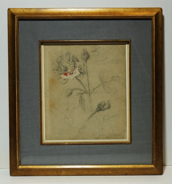PIERRE - JOSEPH Redouté, Dessin Original Signé, Etude, Rose, Drawing ...