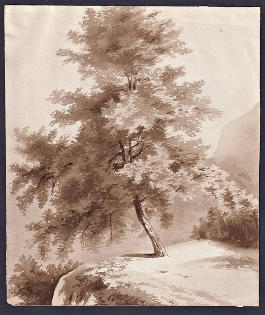 BAUM TREE AQUARELL Zeichnung watercolor drawing dessin 1830 EUR 28,99 ...