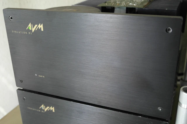 2 AMPLIFICATEURS DE puissance mono haut de gamme AVM EVOLUTION M2 ...