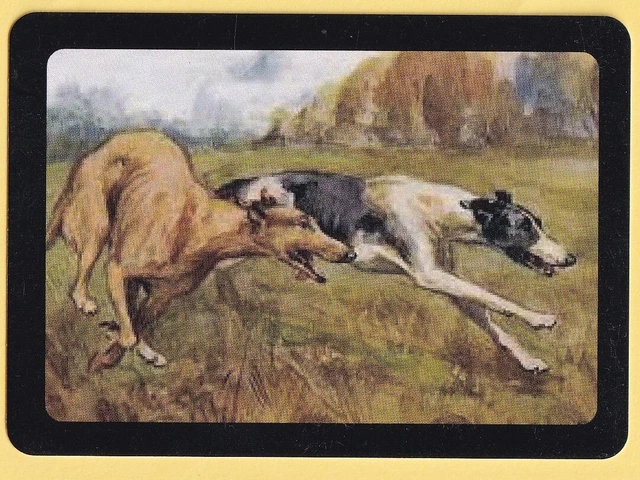 1 WIDE MODERN Swap Playing Card Greyhound Dogs Running In The Paddock ...