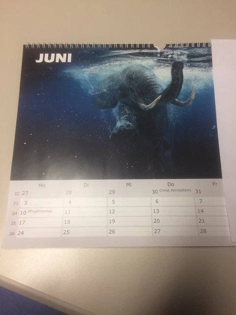 Kalender 2019 Wand