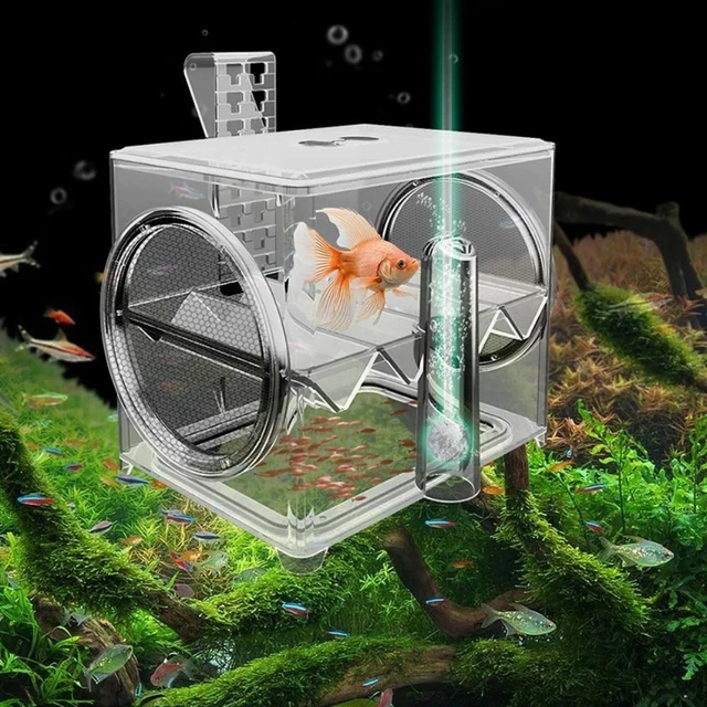 TRANSPARENT FISH BREEDING Box Pneumatic Fish Isolation Box Shrimp $53. ...