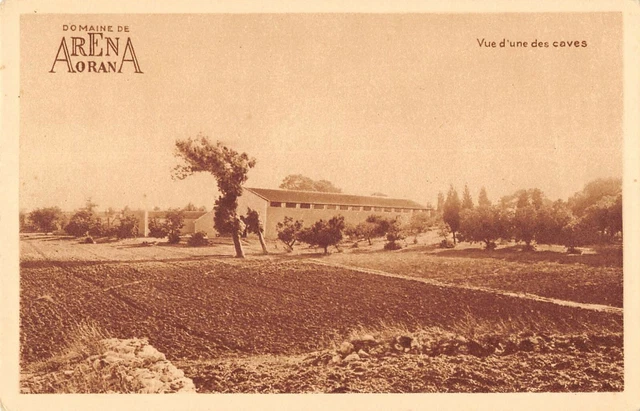 CPA ALGERIE DOMAINE De L'arena Oran Vue D'une Des Caves EUR 3,80 ...