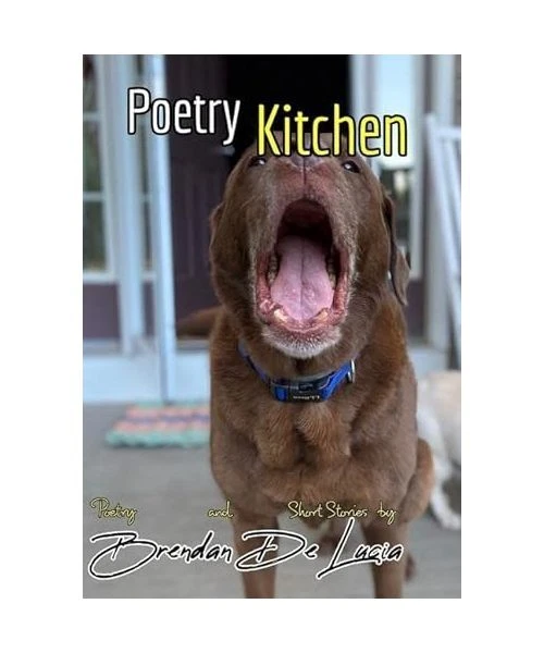 THE POETRY KITCHEN: Collection of Poems, Brendan de Lucia EUR 24,00 ...