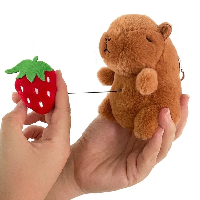 DRAWABLE ROPE CAPYBARA Plush Keyring Peach Capybara Plushie Doll Girls ...