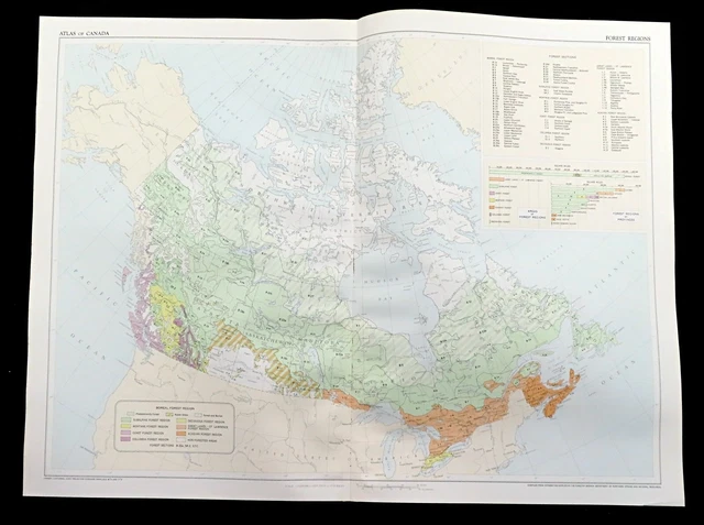 MAP OF CANADA Woodland Forest Regions Canadian Dendrology Large Vintage ...