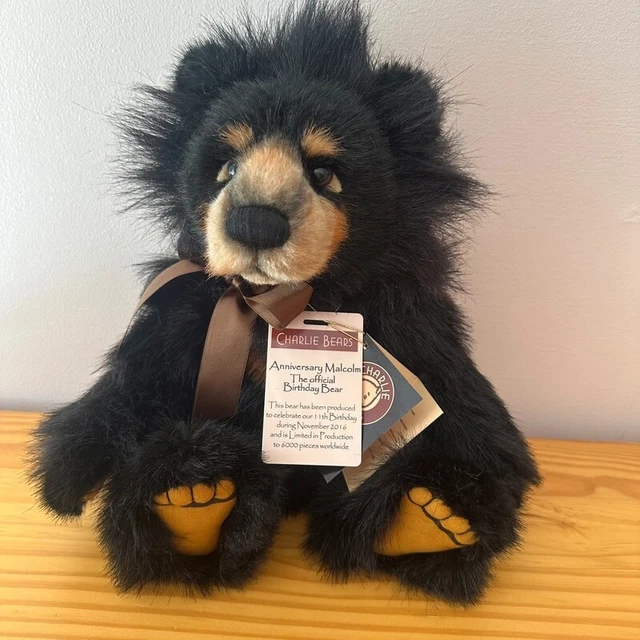 CHARLIE BEARS &MALCOLM& Limited Anniversary Bear with Tags (CB161709 ...