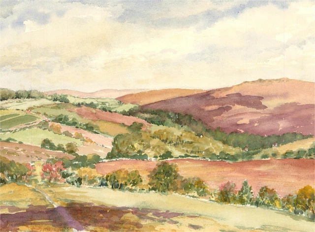 SYLVIA E. CHURCHWARD-WADE - aquarelle contemporaine, dans les champs ...