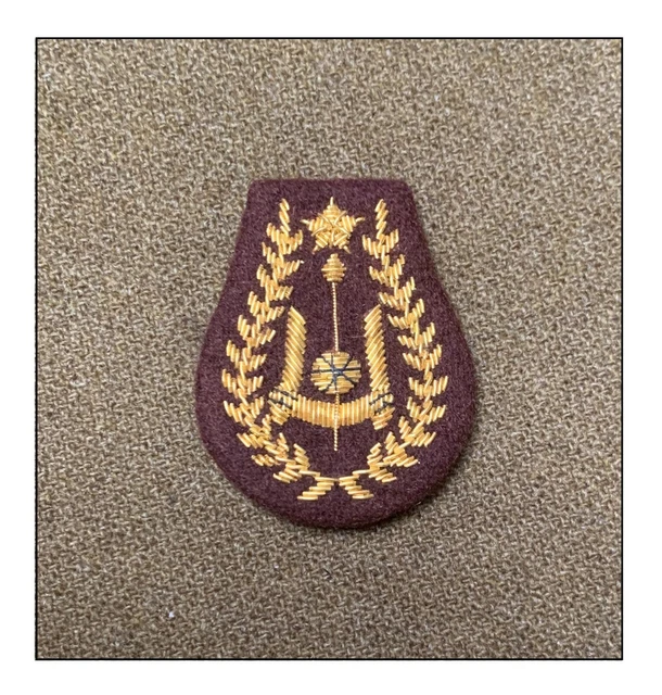 INSIGNE POLICE AFRIQUE Gendarmerie casque veste BRI GIGN GIPN RAID ...