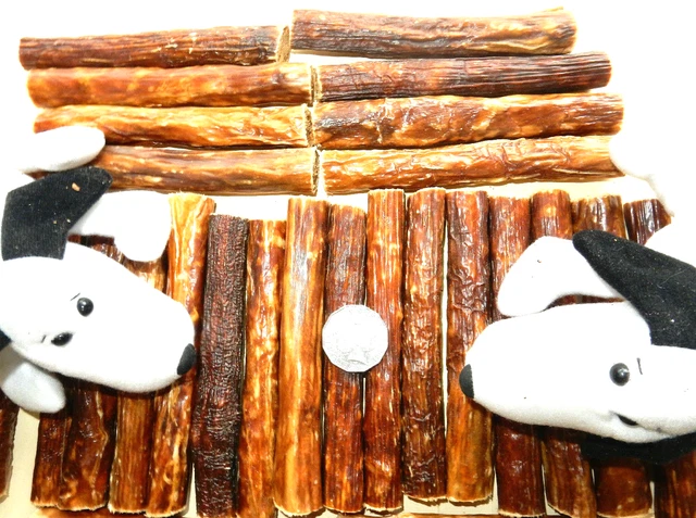 BEEF STICKS 10 Australian Dog Treats Chews Bulk Natural Pet Food Teeth ...