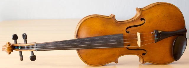 VERY OLD SMALL labelled Vintage violin "David Tecchler" fiddle Geige ...