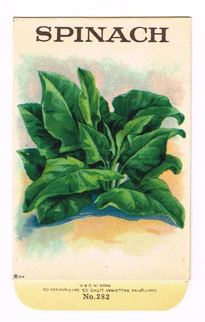 VINTAGE SEED PACKET Vegetable 1918 Stock Galloway Stecher Litho Spinach ...