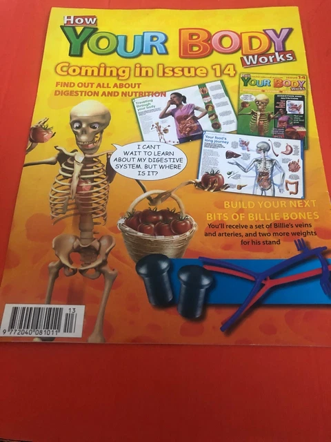 HOW YOUR BODY Works (Biology) Billie Billy Bones Issue 13 The Mind ...