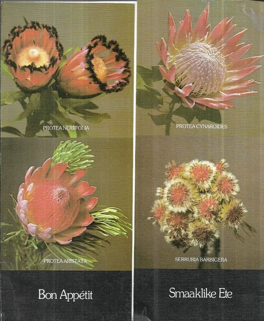 DINNER MENU FOR South Africa Airways 2 99 PicClick UK dinner-menu-for-south-africa-airways-2-99-picclick-uk