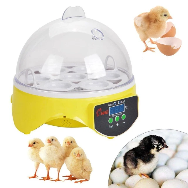 PARROT TEMPERATURE CONTROL Incubate Eggs Brooder Hatch Machine 7 Egg ...