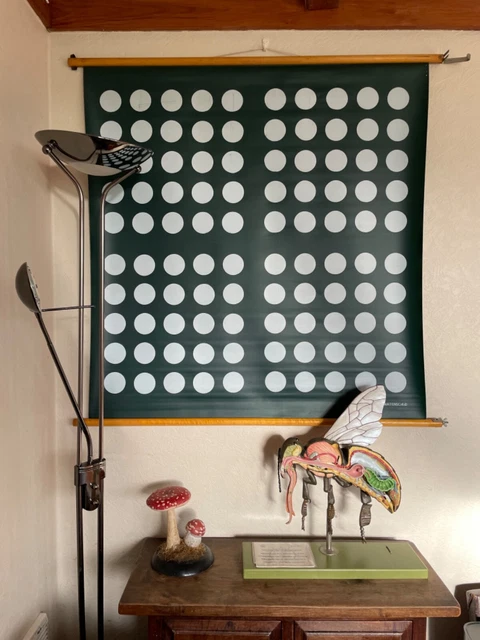 VINTAGE 100 DOT ARRAY school chart educational chart MATHS COUNTING ...