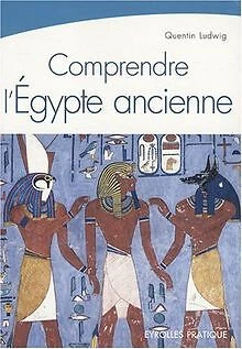 COMPRENDRE L'EGYPTE ANCIENNE de Quentin Ludwig | Livre | état bon EUR 4,46 - PicClick FR