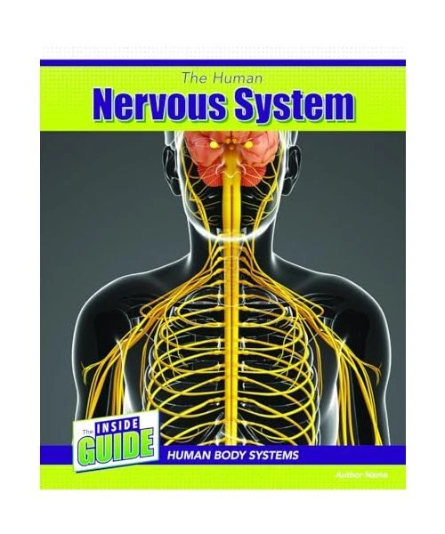 THE HUMAN NERVOUS System (The Inside Guide: Human Body Systems), Lawton ...