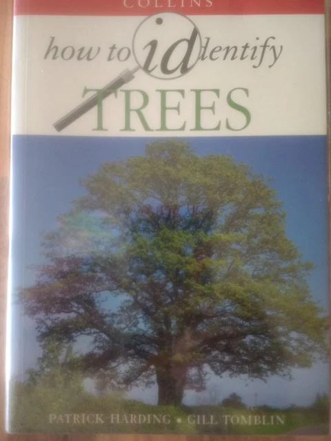 HOW TO IDENTIFY Trees (Collins) by Peter Harding Gill Tomblin ...