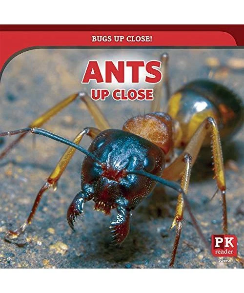 ANTS UP CLOSE (Bugs Up Close!), Morlock, Rachael EUR 16,53 - PicClick FR