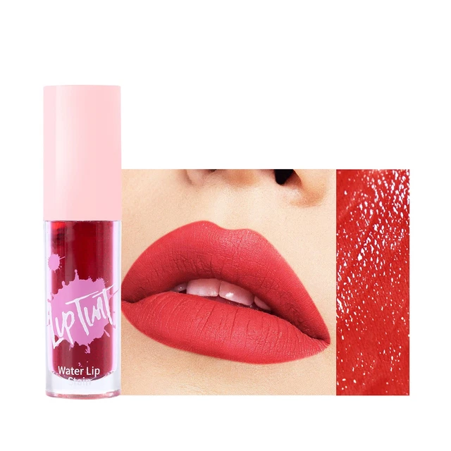 PIGMENT MAKEUP MOISTURIZING Lip Glaze Lasting And Non Fading Lip Dye ...