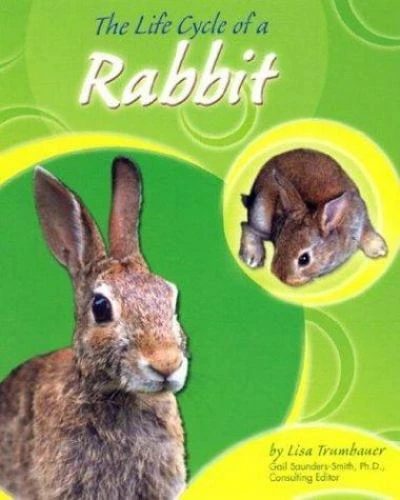 THE LIFE CYCLE of a Rabbit [Life Cycles] [ Trumbauer, Lisa ] Used ...