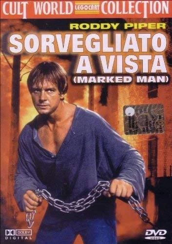 SORVEGLIATO A VISTA (DVD) Miles O'Keefe Roddy Piper Alina Thompson EUR ...