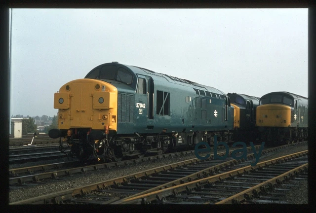 ORIGINAL 35MM SLIDE - Class 37 - 37042 w/ 37246 & 46028 stabled at York ...