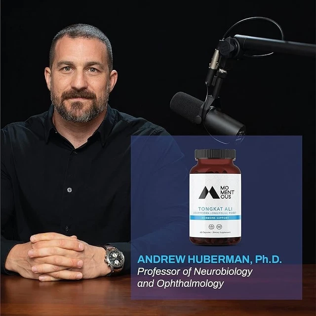 MOMENTUS TONGKA SUPPLEMENT 60 Capsules Joe Rogan Andrew Huberman UK £49 ...