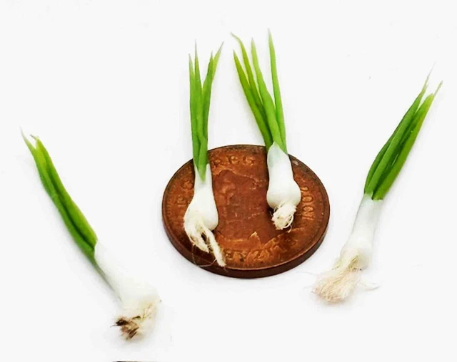 DOLLS HOUSE VEGETABLE Spring Onions Untrimmed Set of 4 1:12 Scale ...