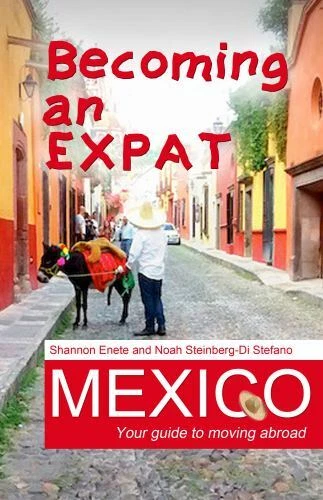 BECOMING AN EXPAT Mexico: Your guide to moving abroad by £5.94 ...