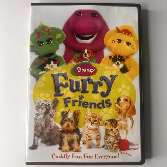 BARNEY FURRY FRIENDS DVD Out Of Print Kids Show 2010 Vintage Learning 3 ...
