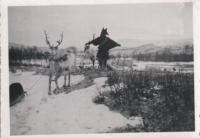 PHOTO SOLDAT ALLEMAND WW2 Sàmi et ses rennes en Finalnde - 3640 EUR 1 ...