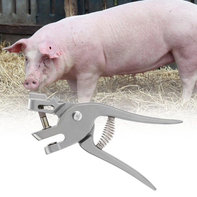 ANIMAL PIG FARM Spring Veterinary Marking Identify Notch Tools Ear ...