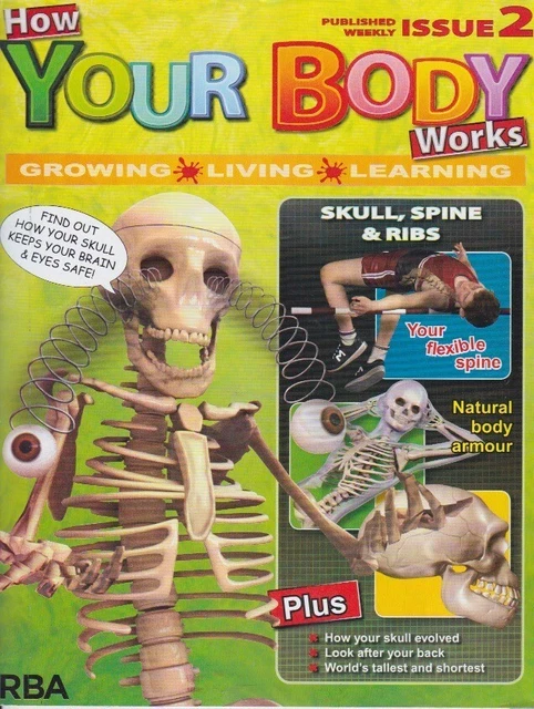 HOW YOUR BODY works-issue 2-SKULL,SPINE & RIBS. £5.00 - PicClick UK
