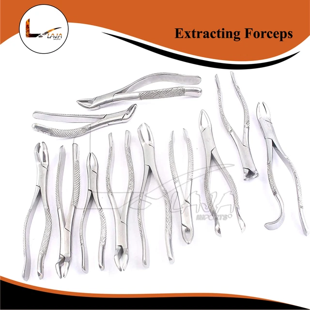 GERMAN STAINLESS EXTRACTING Forceps Extraction Dental Instruments-Set ...