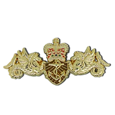 ROYAL NAVY SURFACE Fleet Flotilla 50mm Pin Badge RN £11.50 - PicClick UK