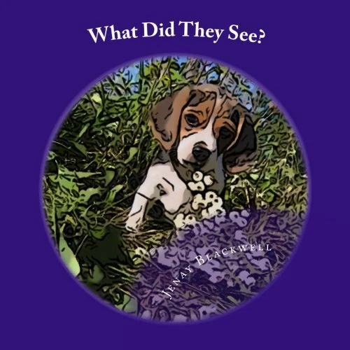 WHAT DID THEY See?: An Interactive Children's Book. Blackwell 9781519152169
