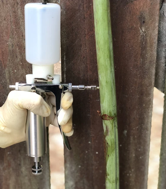 PROFESSIONAL 2024 JAPANESE Knotweed Injector Syringe Killer w/ 9 ...