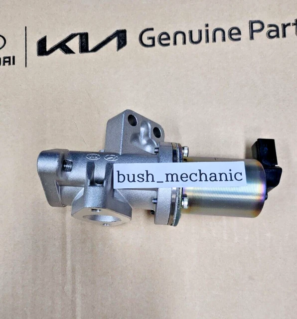 GENUINE OEM HYUNDAI Kia Valve Valve Assy EGR 284104A100 Starex Sorento ...