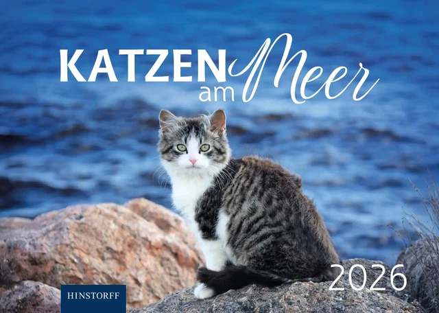 KATZEN AM MEER 2026 | Eva Maria Buchholz | Deutsch | Kalender | 2026 ...