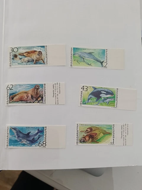 FRANCOBOLLI ANIMALI SERIE Completa Nuova, Bulgaria EUR 0,99 - PicClick IT FRANCOBOLLI ANIMALI SERIE Completa Nuova, Bulgaria EUR 0,99 - PicClick IT
