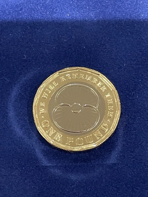 ONE POUND POPPY The 2025 UK Coin £1 uncirculated £16.12 - PicClick UK