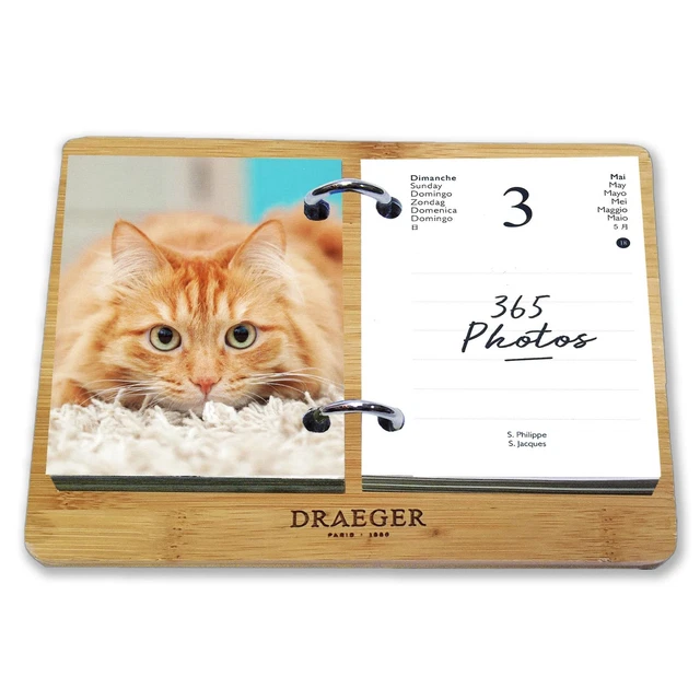 2026 CALENDAR DREJAR 365 Daily Cat Flip Type Box Set France $104.72 ...