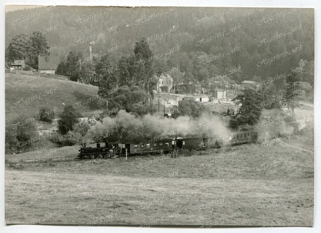 EISENBAHN FOTO DDR Dampflok DR Baureihe 99 Ort unbekannt (A7015) EUR 3 ...
