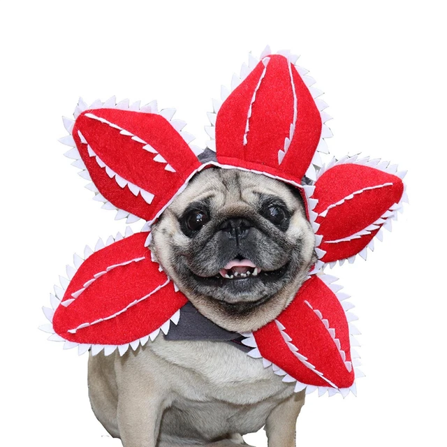 STRANGER THINGS DEMOGORGON Pet Hat Flower Theme Cat Collar Dog Cone £10 ...
