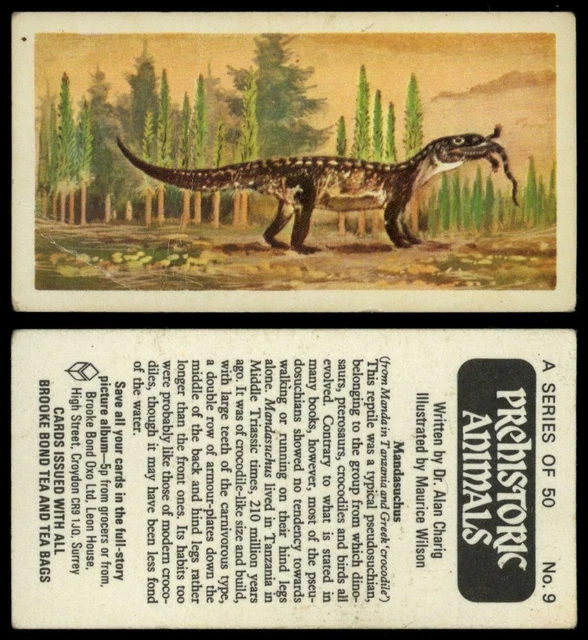 MANDASUCHUS #9 PREHISTORIC Animals 1972 Brooke Bond Tea Card £0.99 ...